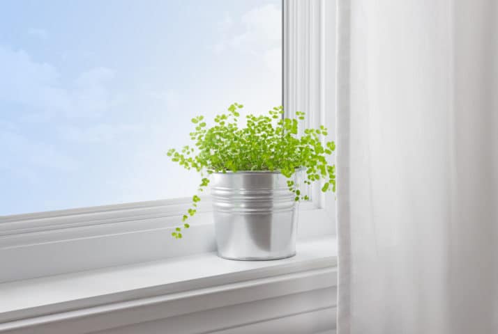 How to Replace a Window Sill Yourself (Like a Pro) - Sensible Digs